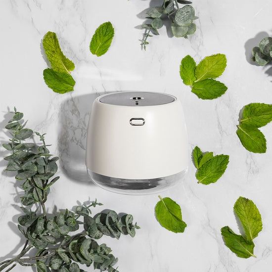 SnappyScreen – Randee & Company